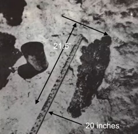 The Legacy of the Old Nephilim Giants - the Walking Rephaim